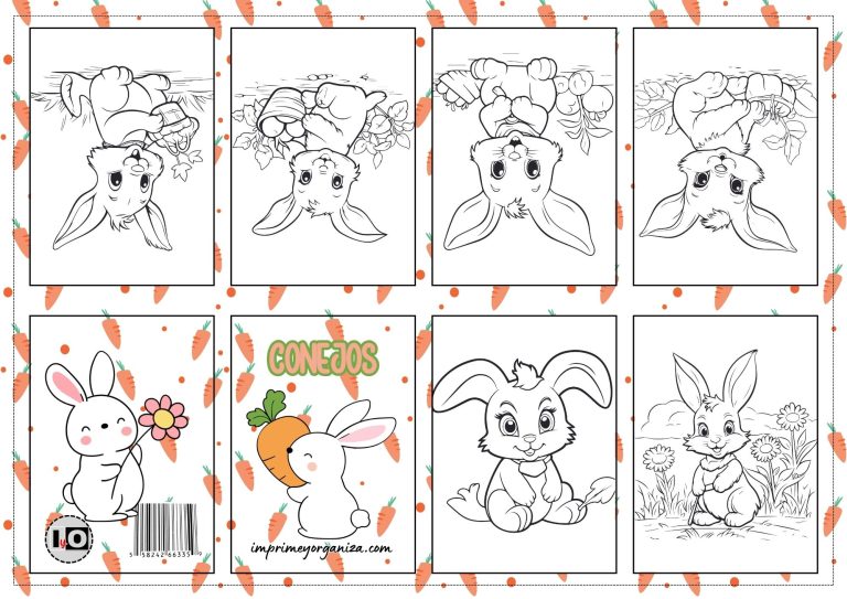 Minilibros de Colorear de Animales en PDF [GRATIS]