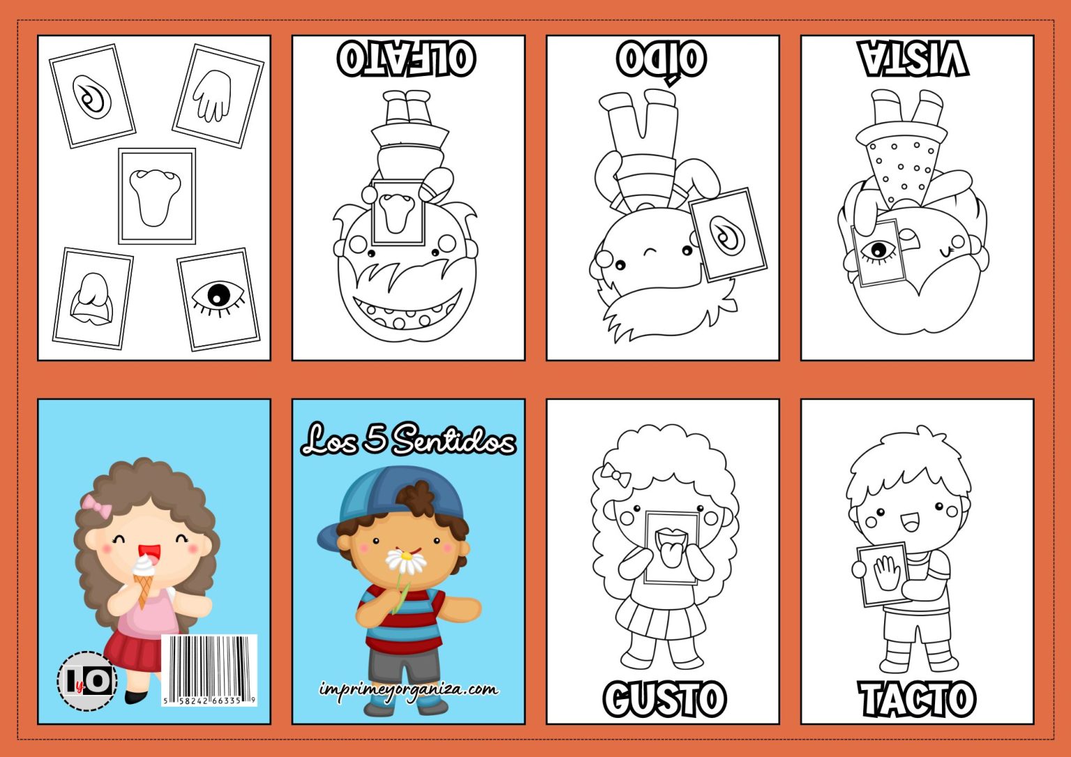 Minilibros de Colorear Educativos en PDF [GRATIS]
