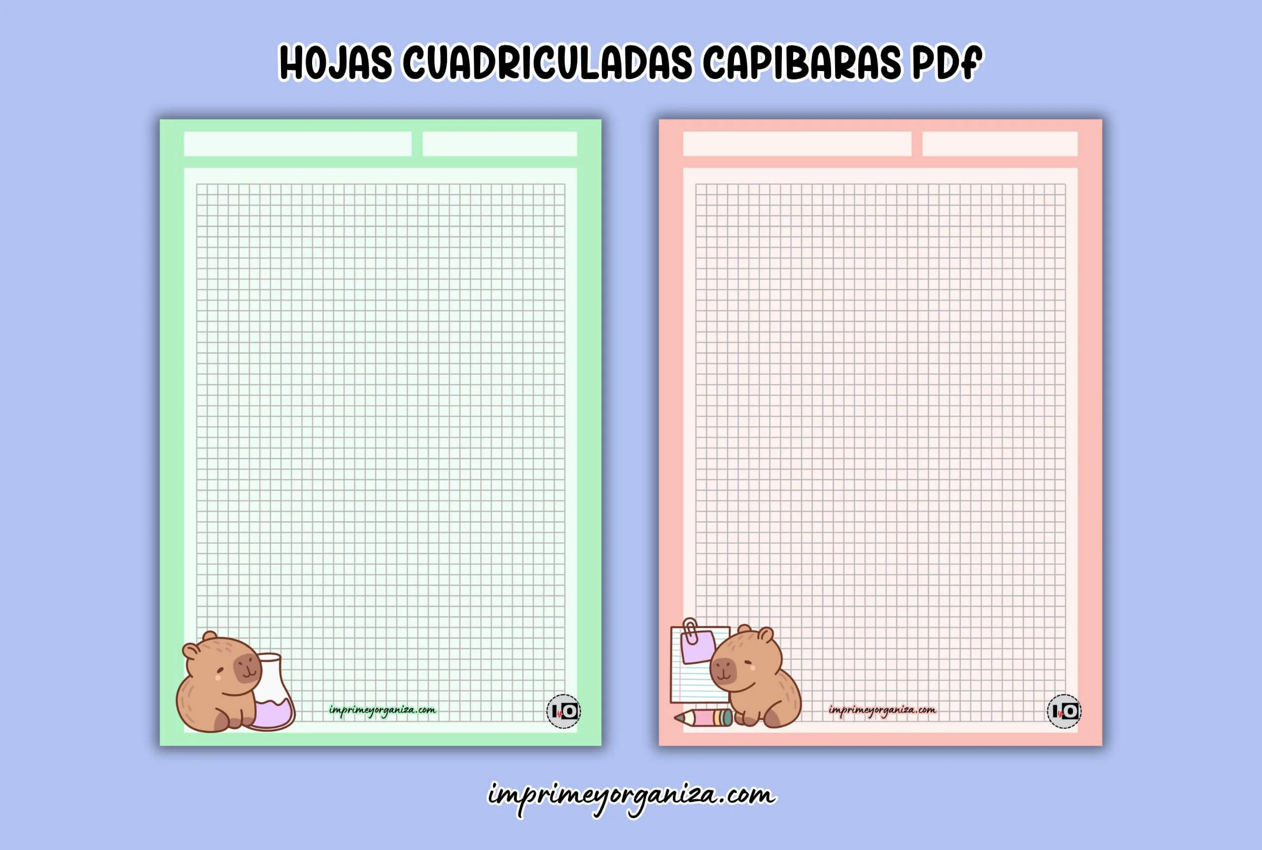 Hojas Cuadriculadas Para Imprimir Ctior2